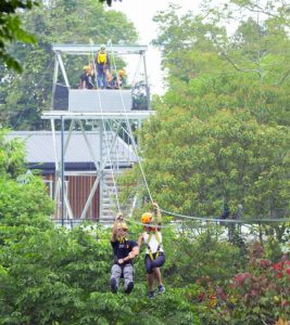 Perunding YAA - Civil and Structural Engineering Consultants